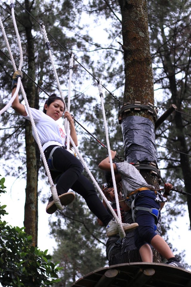 24slides Team Activity: Treetop - Let's Be Tarzan For One Day