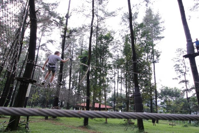24slides Team Activity: Treetop - Let's Be Tarzan For One Day